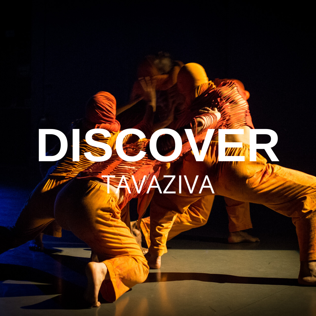 Discover Tavaziva - Tavaziva